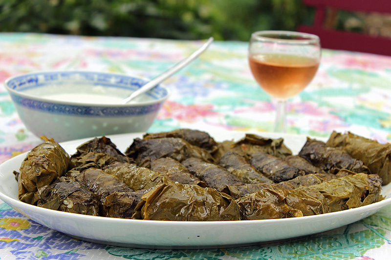 dolma – Ni Cru Ni Cuit